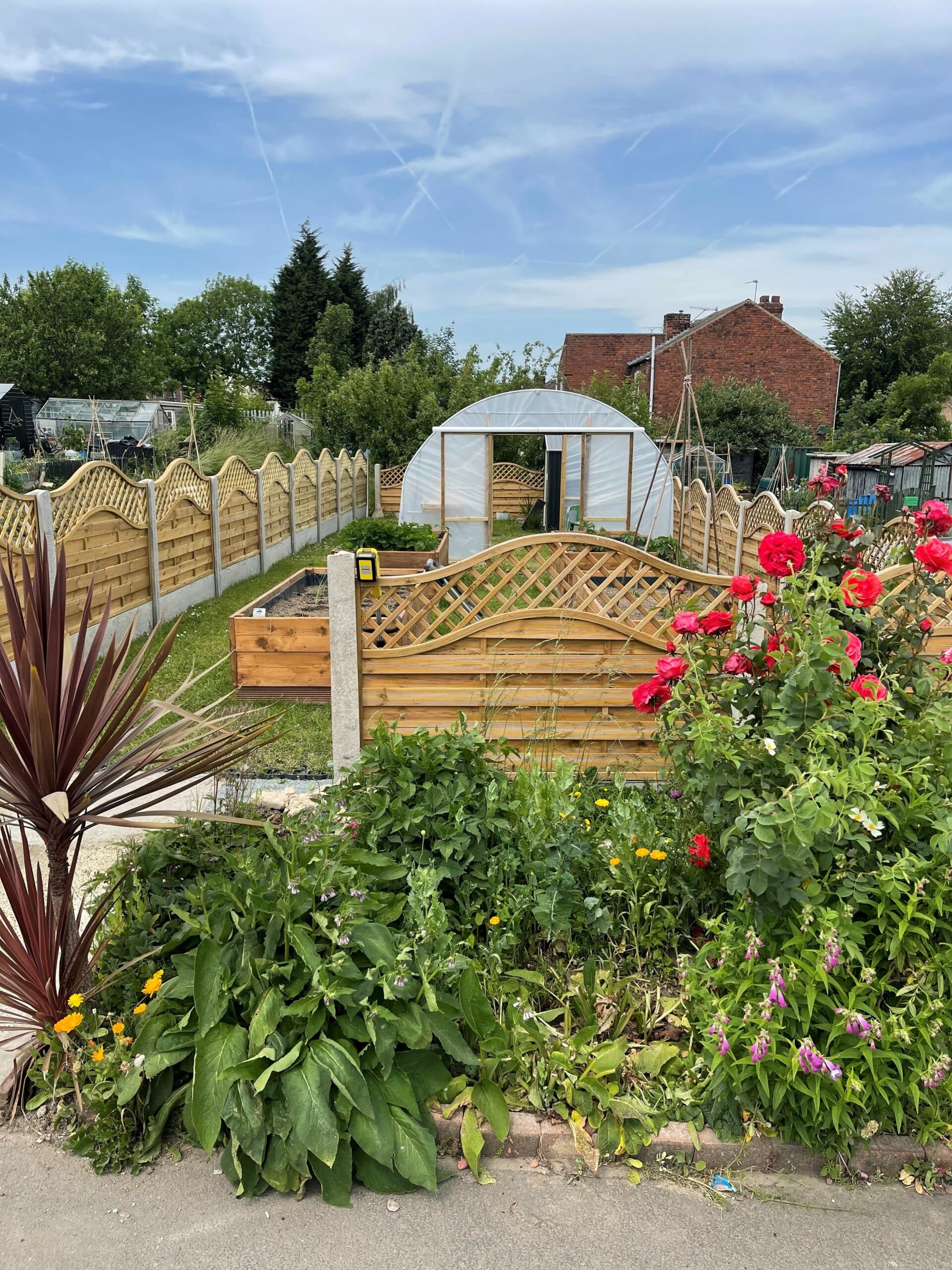Allotment Open Days | Caremark