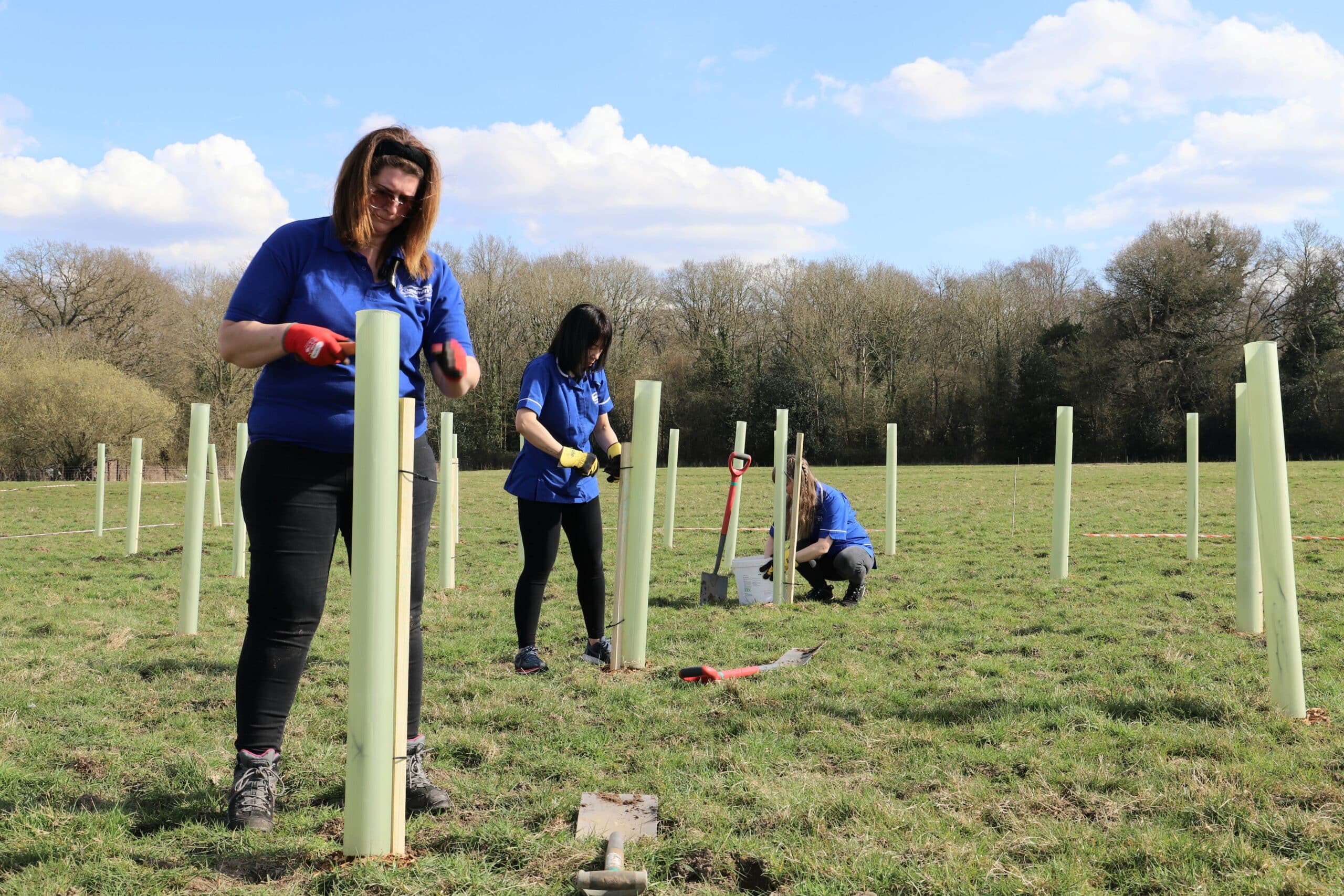 Caremark Planted Trees to Honour Covid Losses | Caremark