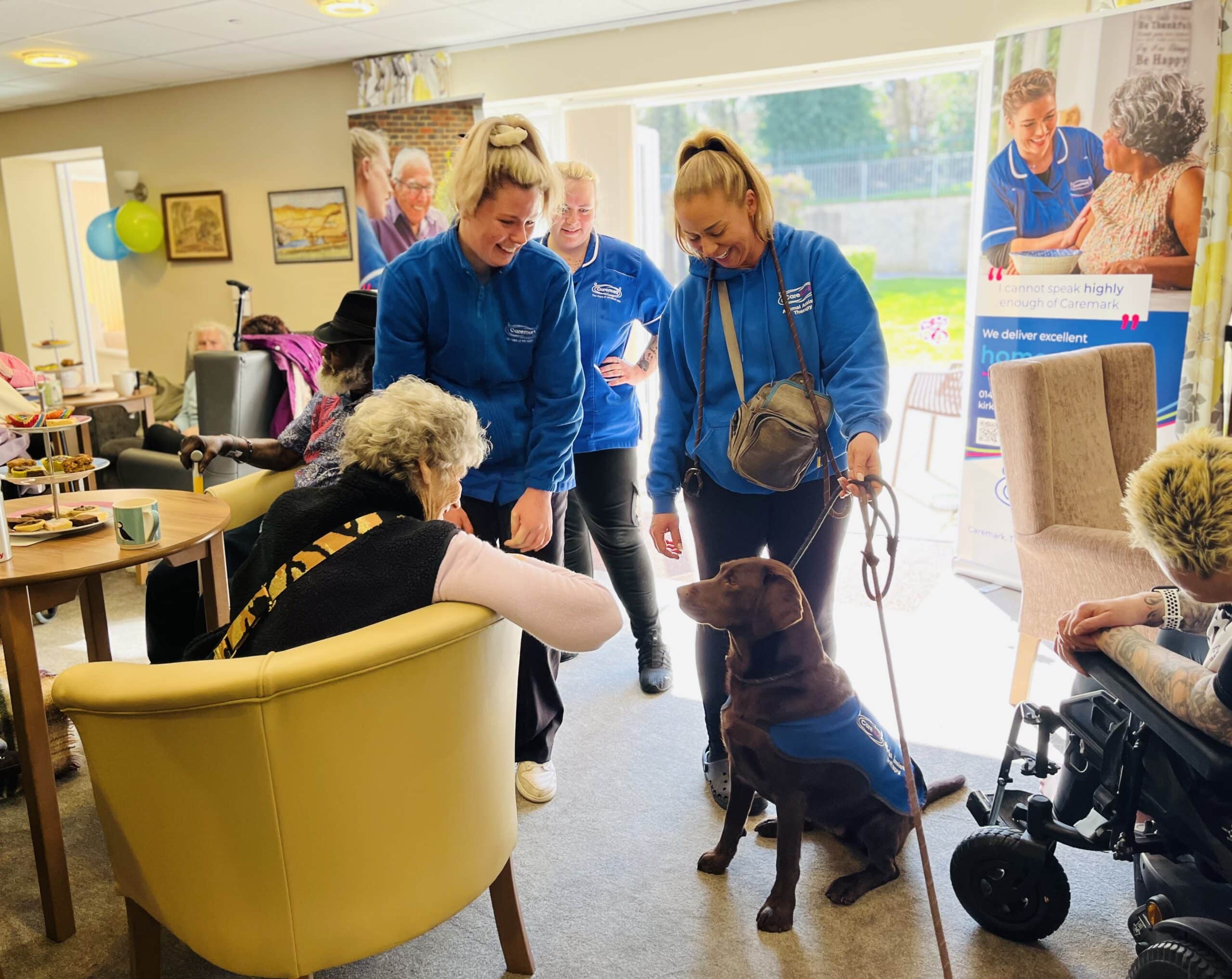 Animal assisted therapy | Caremark Kirklees